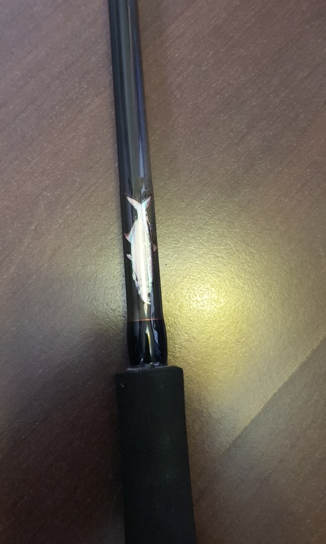 Calstar custom overhead bottom fisshing rod, Everything Else on Carousell