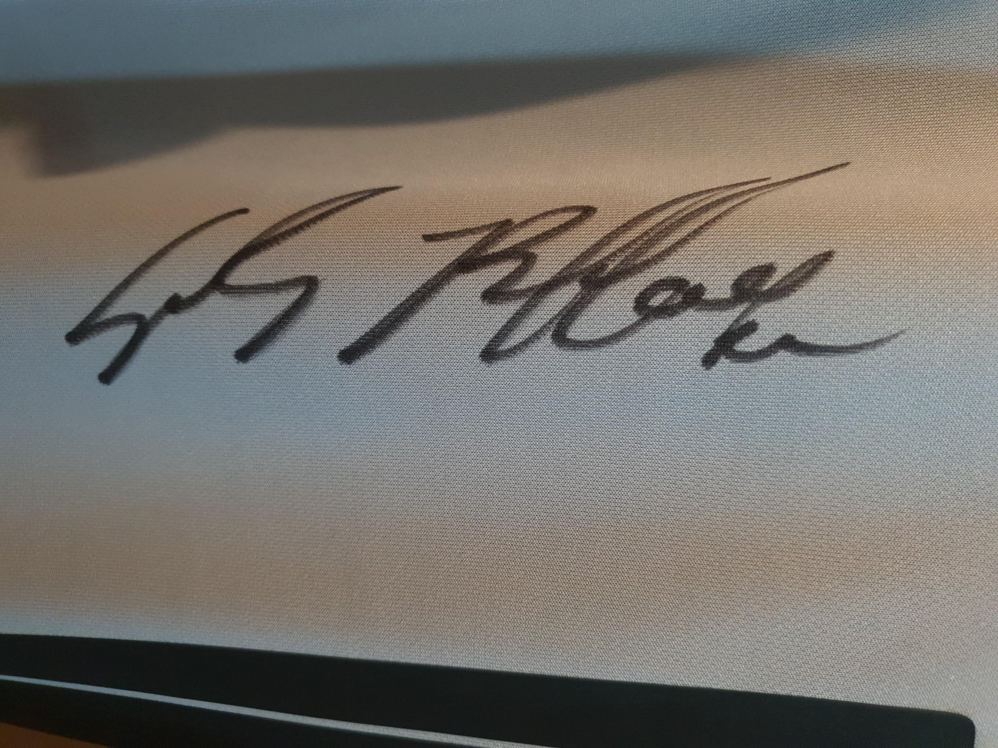 Gianluigi Buffon Signed Italian Goalkeeper Soccer Jersey Authentic ...