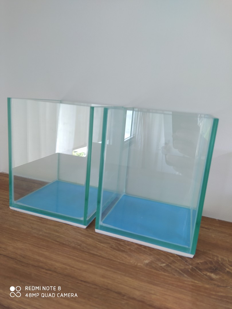 Mint Ocean Free tanks, Pet Supplies, Homes & Other Pet Accessories on ...