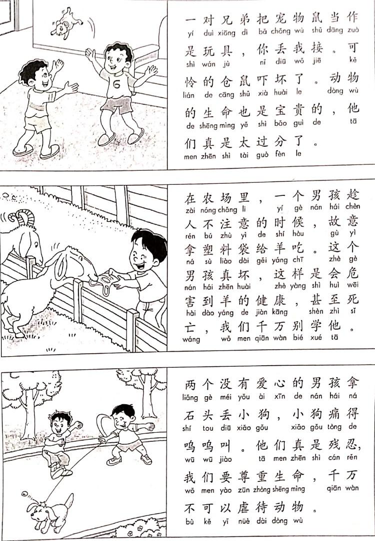 PSLE P5 P6 Chinese Picture Conversation 看图说话 – 35 pages, Hobbies & Toys ...