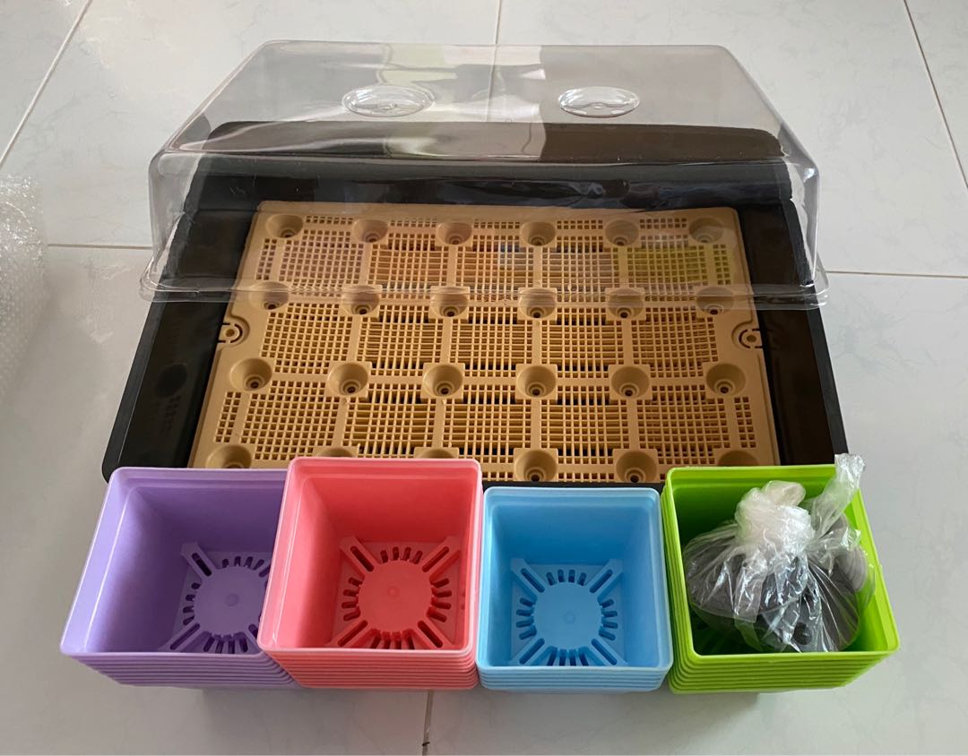 SEEDLINGS GERMINATION BOXES, Furniture & Home Living, Gardening, Plants ...