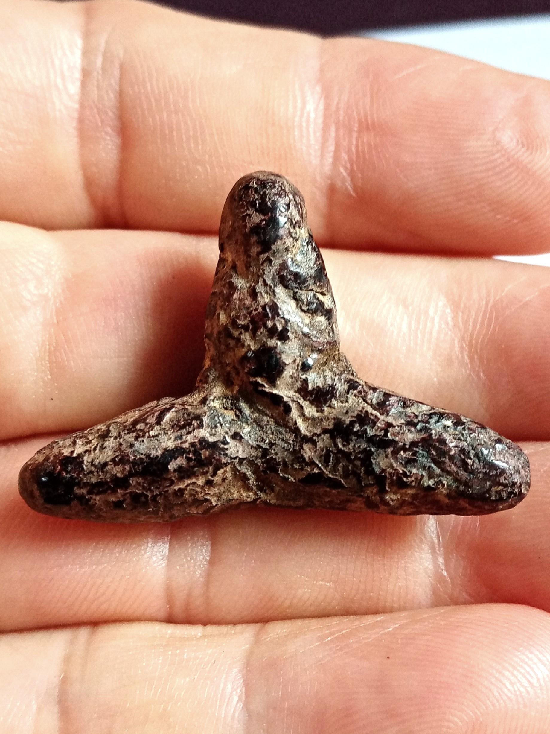 Tok Raja LP Kron Phra Pidta BE 2468, Hobbies & Toys, Memorabilia ...