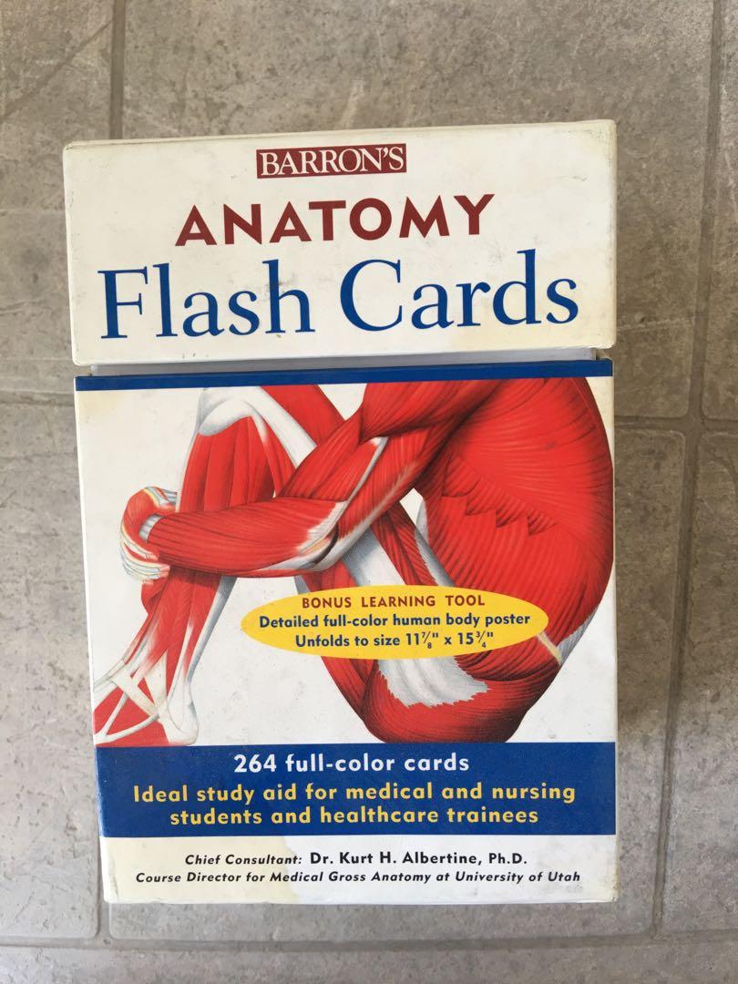Anatomy flash cards, Hobbies & Toys, Books & Magazines, Children's ...