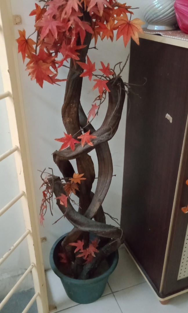 Bonzai Tree, Furniture & Home Living, Home Decor, Artificial Plants ...
