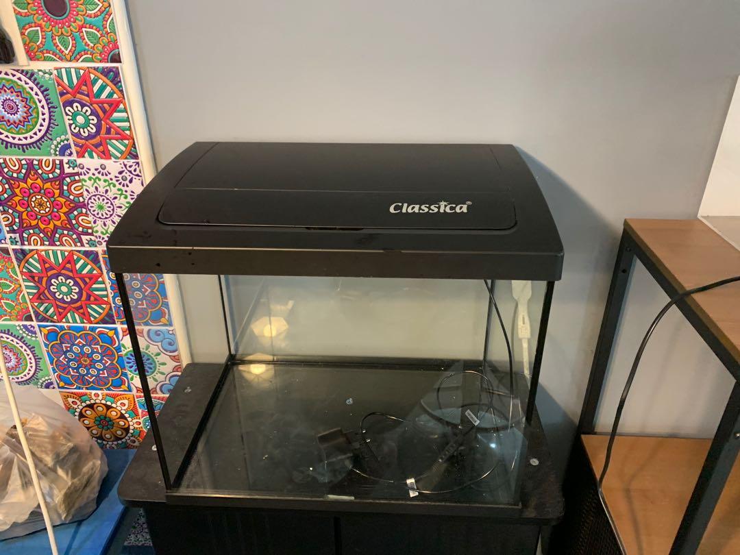 45L fish tank, Pet Supplies, Homes & Other Pet Accessories on Carousell