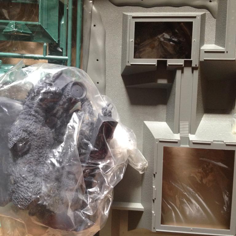 M1 絕版 模型- 1964 GODZILLA NAGOYA CASTLE Diorama Bullmark 廠- 哥斯拉 大戰 摩斯拉 ...