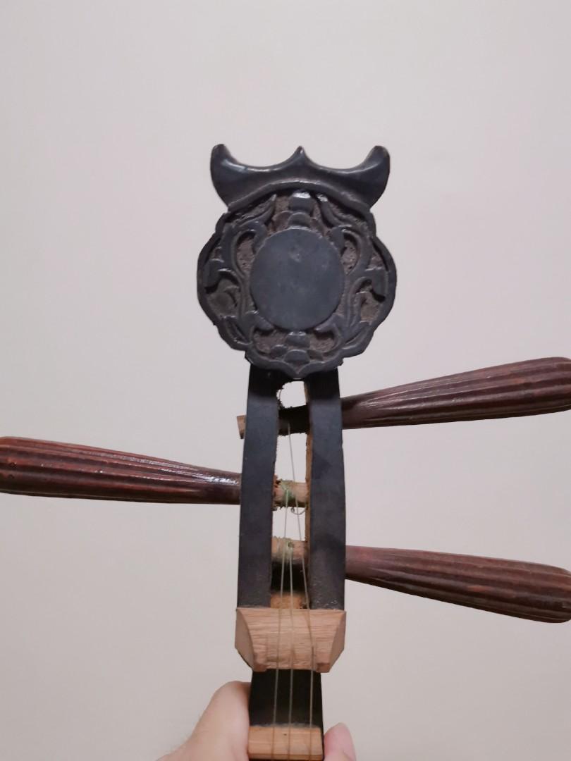 chinese lute 2 string