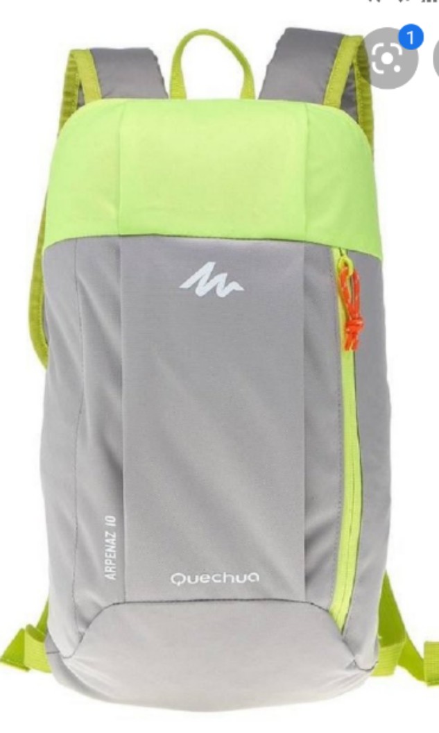 Quechua Kids Adults X-Sports Decathlon 10L Outdoor Day Backpack (grey ...