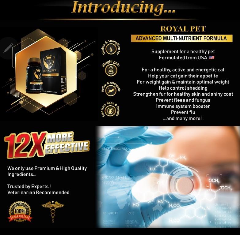 Royal Pet Cat MultiVitamins / supplements - Advanced Multi Nutrient ...