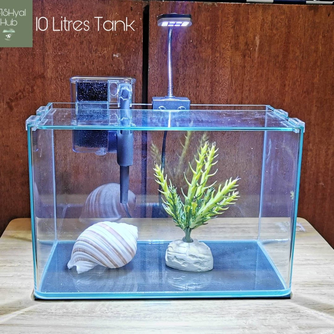 10L Tank Complete Set - Aquarium Curved Tank w/ Cover, Pet Supplies ...