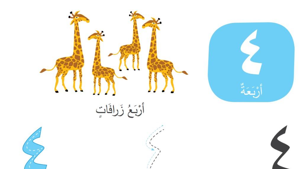 A4 Size Wipe Clean Arabic Alphabet / Arabic Numbers Goodword (children ...