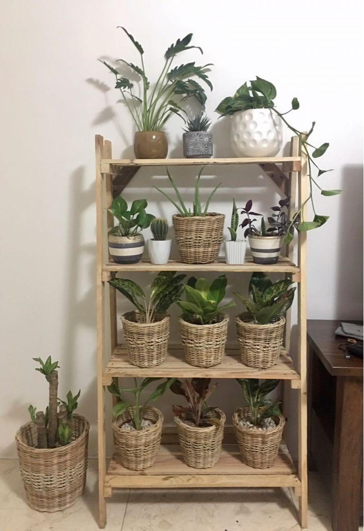 Palochina Plant Rack 4 layers, Furniture & Home Living, Furniture ...