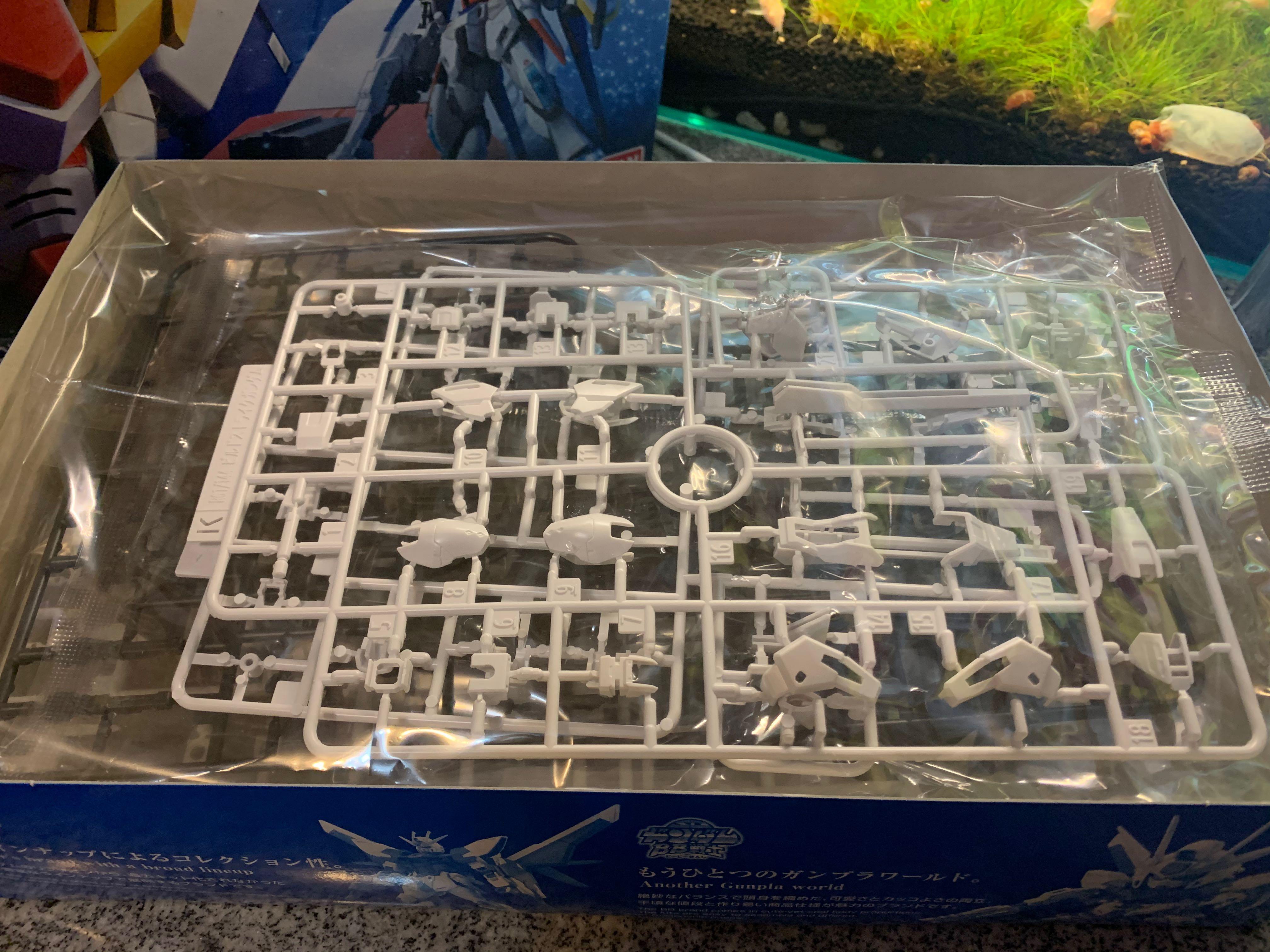 RG Build Strike Gundam Full Package 全裝備創建突擊高達, 興趣及遊戲, 玩具 & 遊戲類 - Carousell
