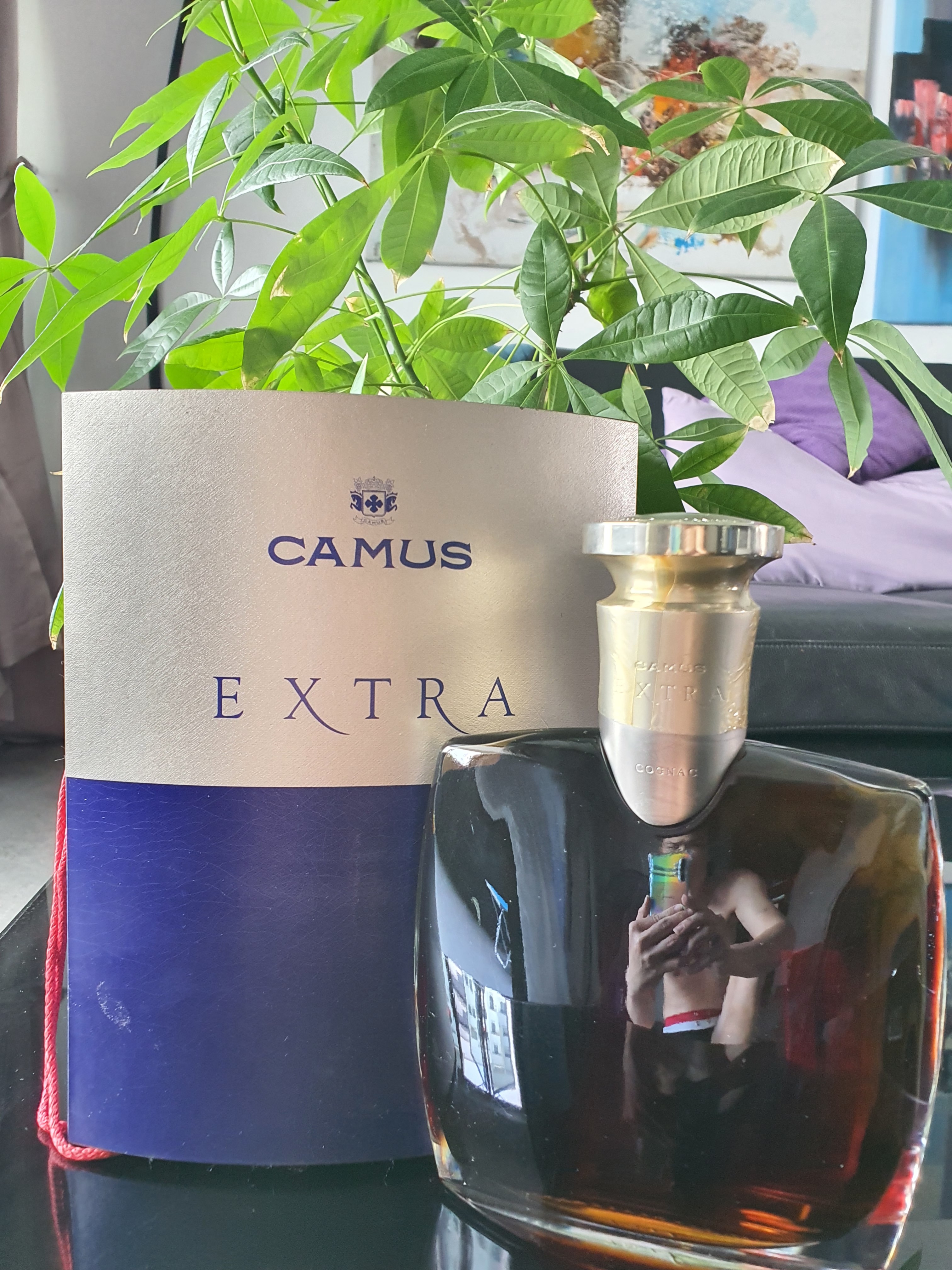 CAMUS EXTRA COGNAC, Food & Drinks, Alcoholic Beverages on Carousell