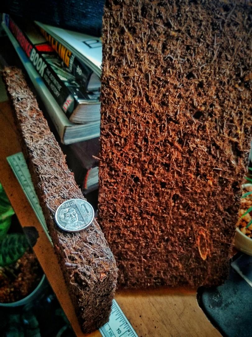 Coco fern slab, Furniture & Home Living, Gardening, Gardening Tools ...