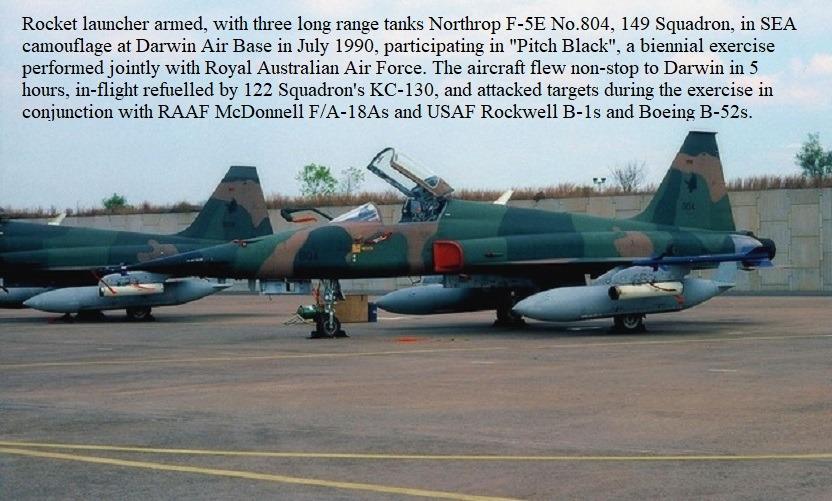 Custom Build 1/72 Singapore RSAF F-5E Tiger II with SEA Camouflage ...