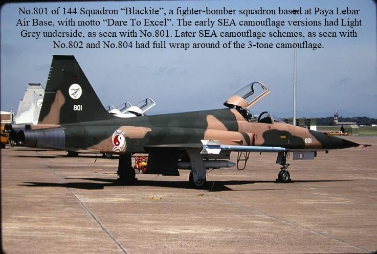 Custom Build 1/72 Singapore RSAF F-5E Tiger II with SEA Camouflage ...