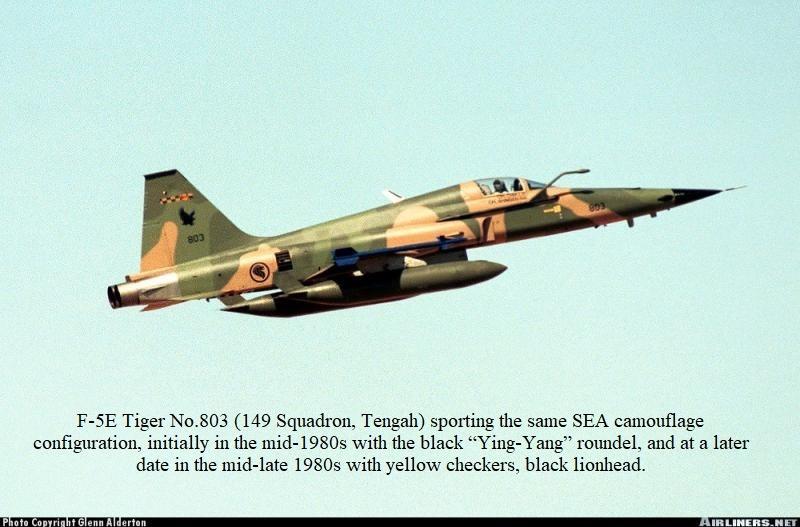 Custom Build 1/72 Singapore RSAF F-5E Tiger II with SEA Camouflage ...