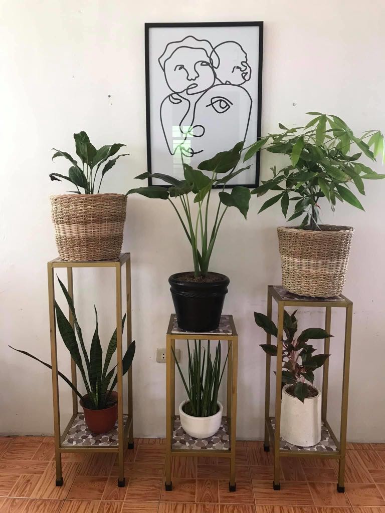 Plant Standee Table, Furniture & Home Living, Gardening, Soil ...