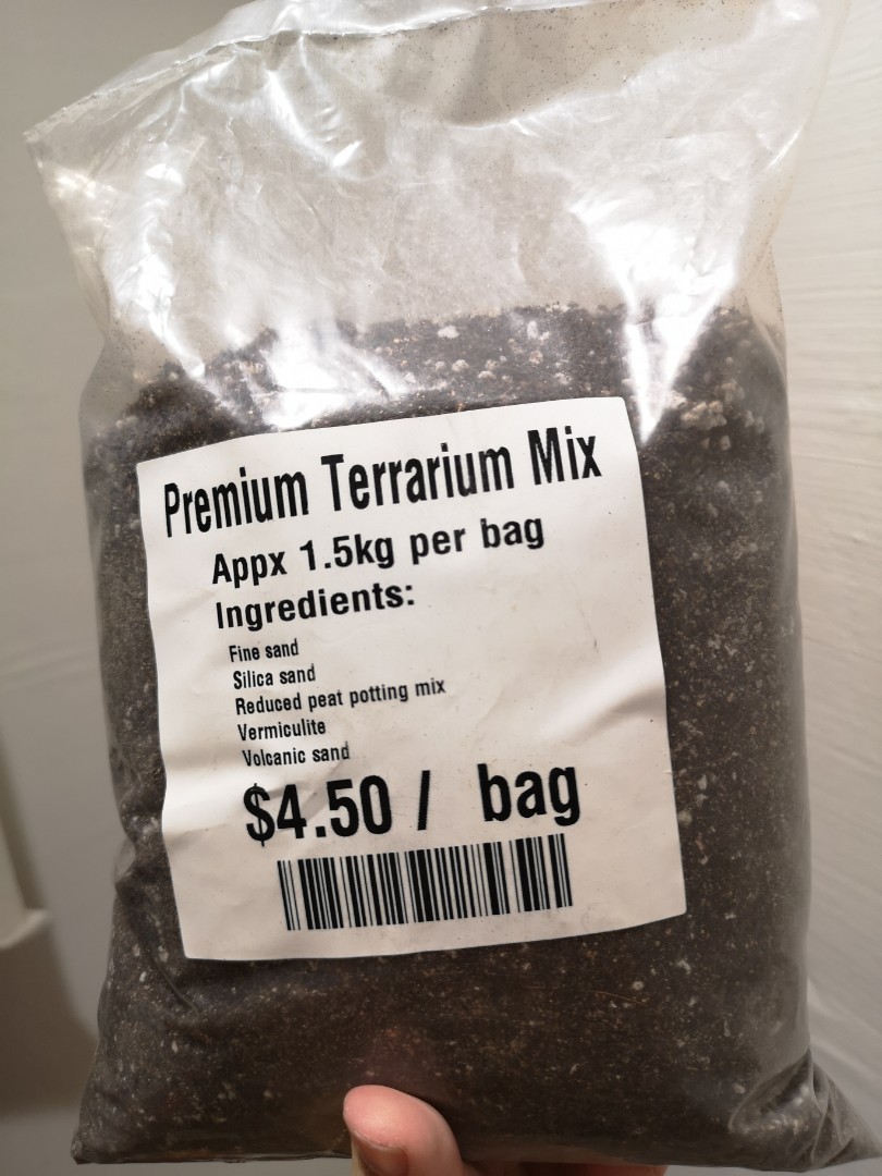 Premium Terrarium Mix, Furniture & Home Living, Gardening, Plants ...