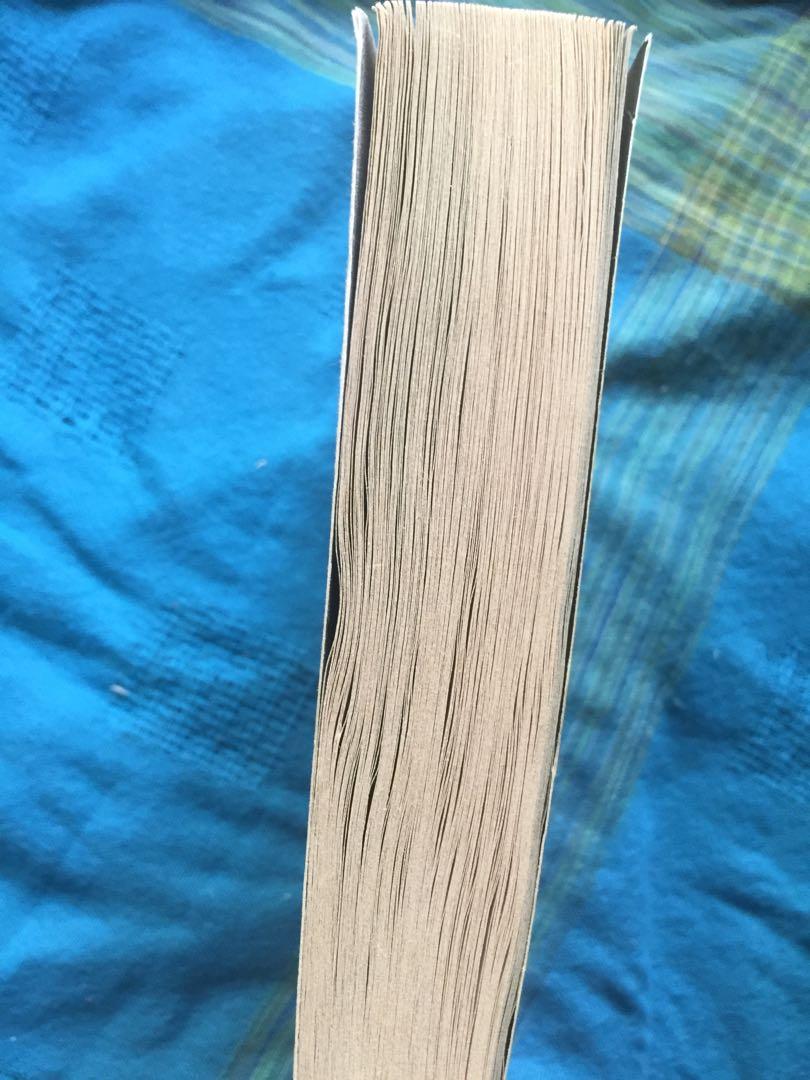 The Thief Lord by Cornelia Funke, Hobbies & Toys, Books & Magazines ...