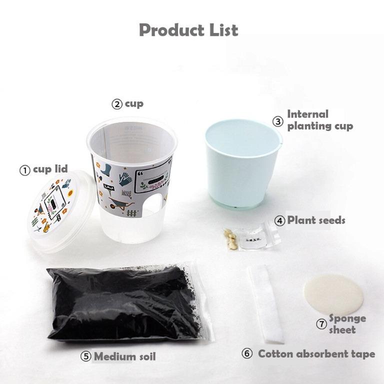 Kids DIY Plant Kit Mini Plant Indoor Plants for Home and Office ...