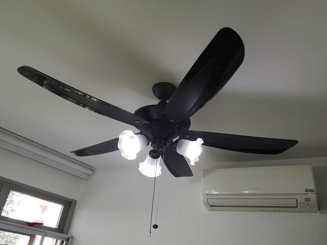 Amasco 5 blade ceiling fan with lights, Furniture & Home Living ...