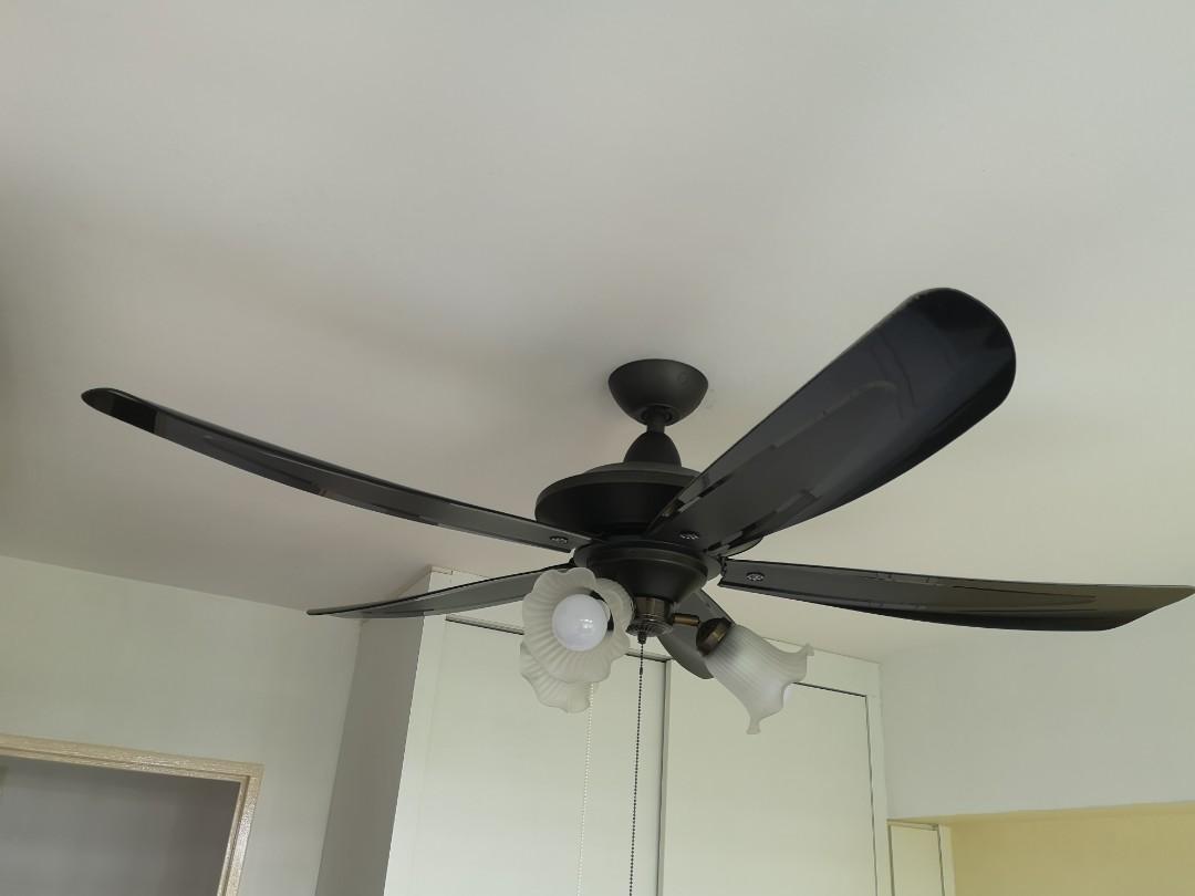 Amasco 5 blade ceiling fan with lights, Furniture & Home Living ...