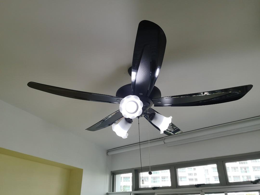 Amasco 5 blade ceiling fan with lights, Furniture & Home Living ...