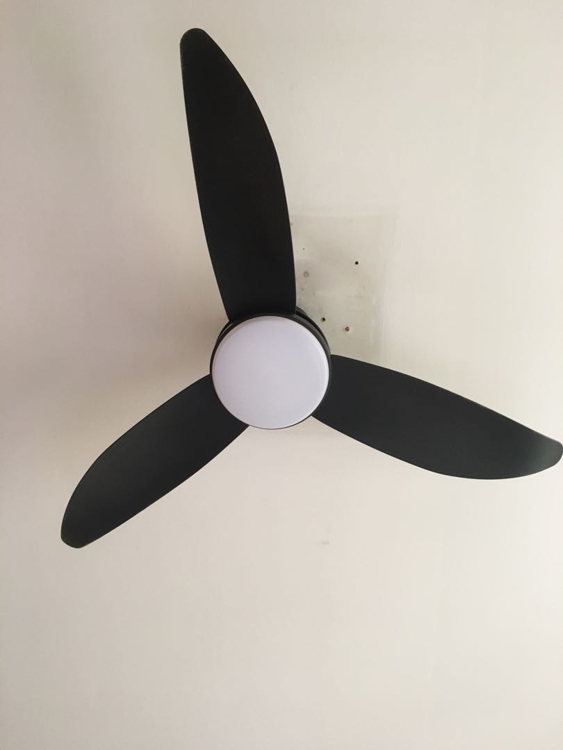 Light plus fan, Furniture & Home Living, Lighting & Fans, Fans on Carousell
