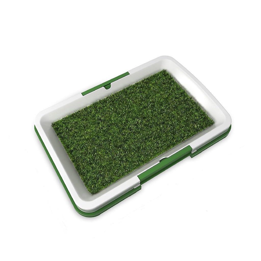 (New) Grass Pee Tray, Pet Supplies, For Dogs, Dog Accessories on Carousell