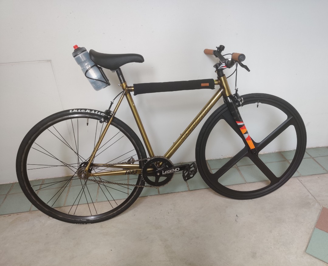 Seaboard FG03 Gold Single Speed bicycle, Sports Equipment, Bicycles ...