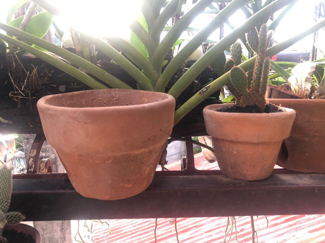 Clay pot/ paso /pot, Furniture & Home Living, Gardening, Gardening ...