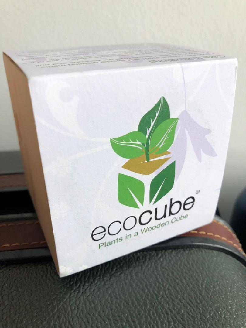 Eco Cube Violet, Furniture & Home Living, Gardening, Garden Soil ...