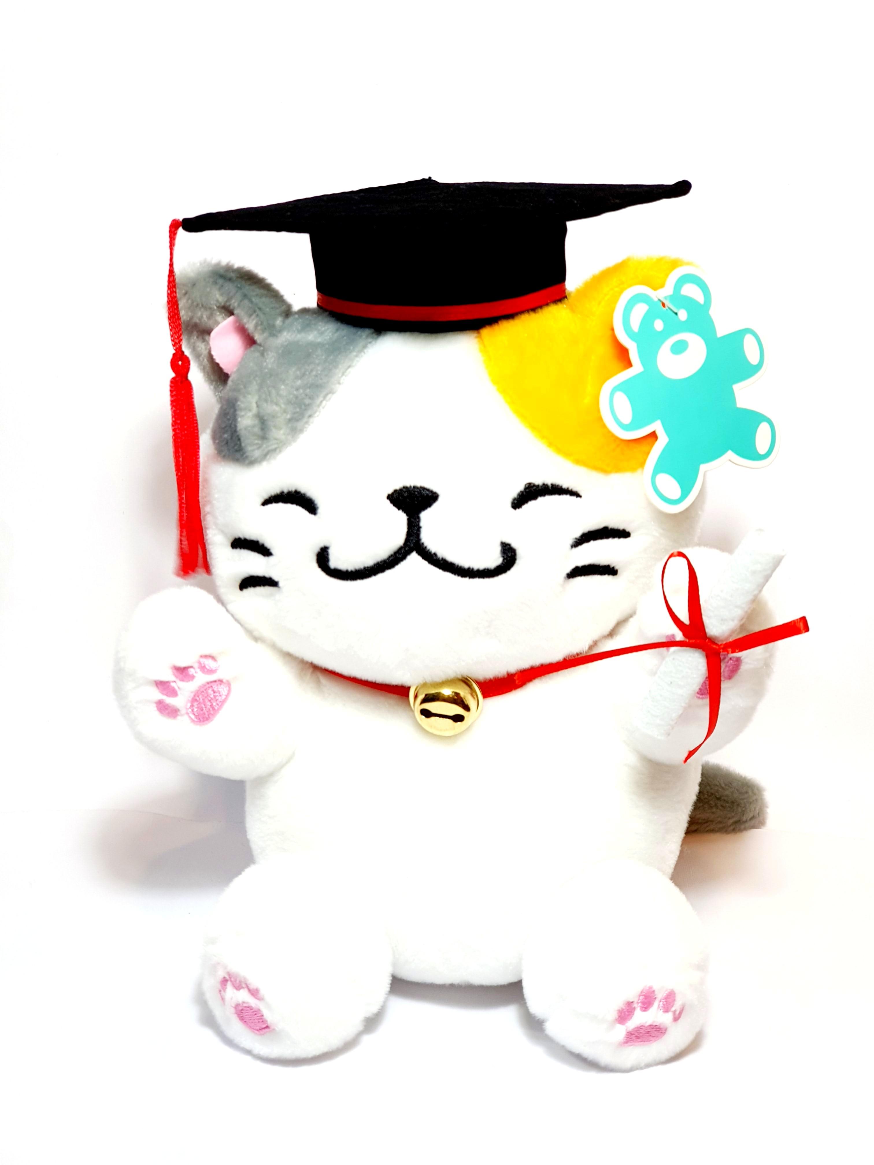 Smiley White Cat Graduation Convocation Bear Gift Plush Toy, Hobbies ...