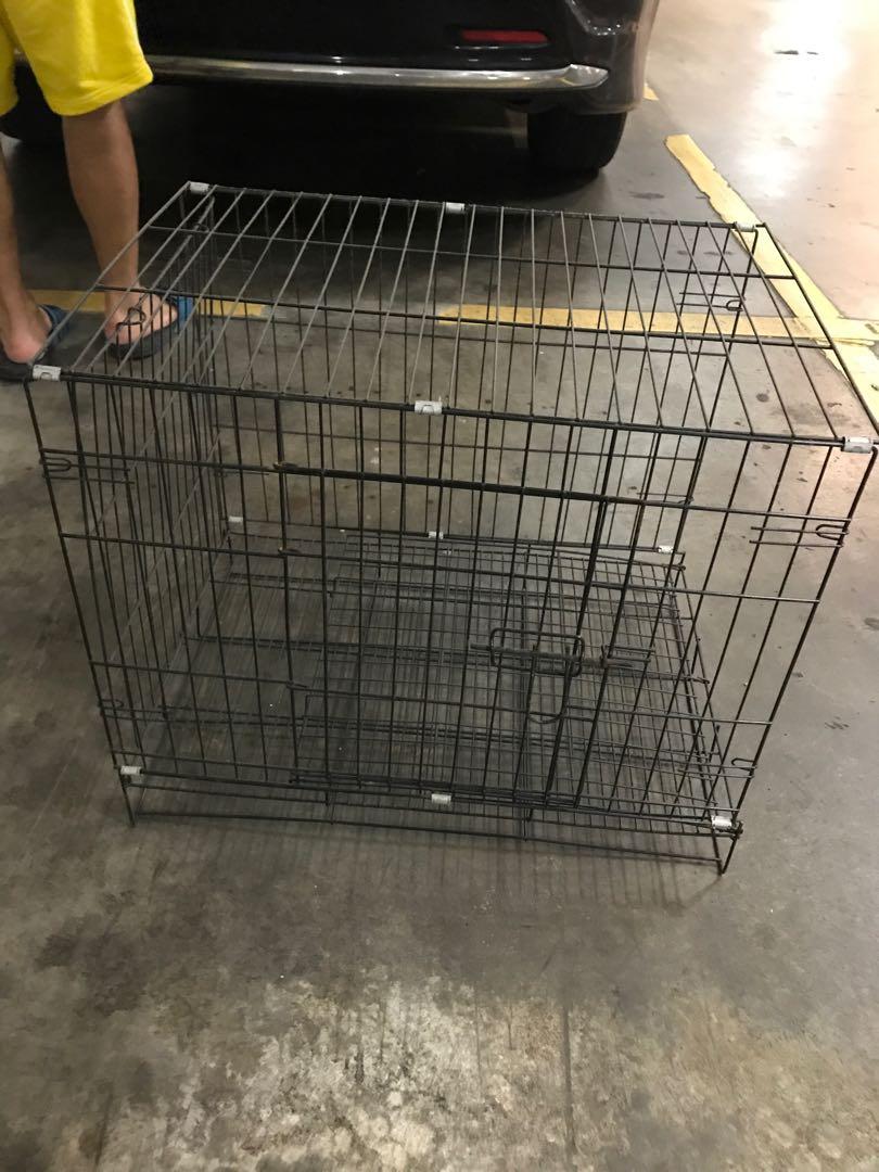 Cage , rm 30 two cages, Pet Supplies, Homes & Other Pet Accessories on ...