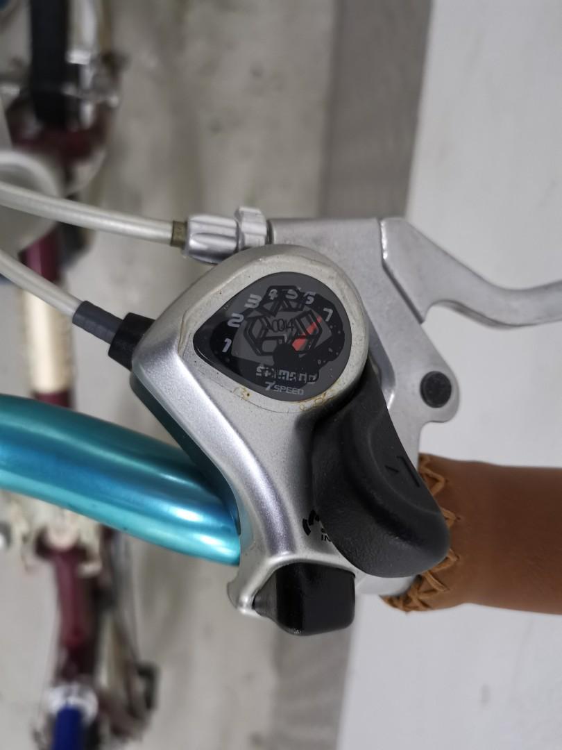 Dahon Broadway D7 Akibo, Japan Edition, Sports Equipment, Bicycles ...