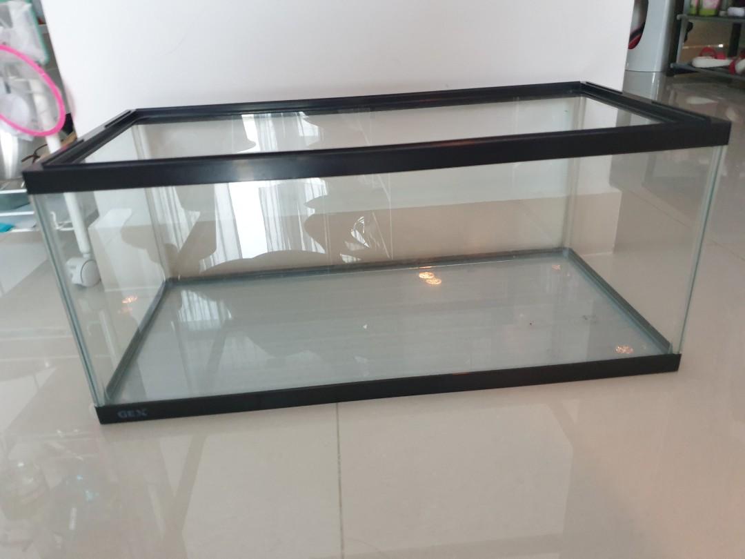 Gex tank, Pet Supplies, Homes & Other Pet Accessories on Carousell