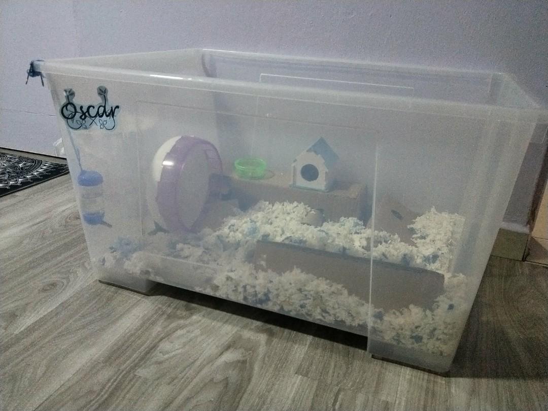 IKEA Samla Bin, Pet Supplies, For Small Animals, Pet Accessories on ...