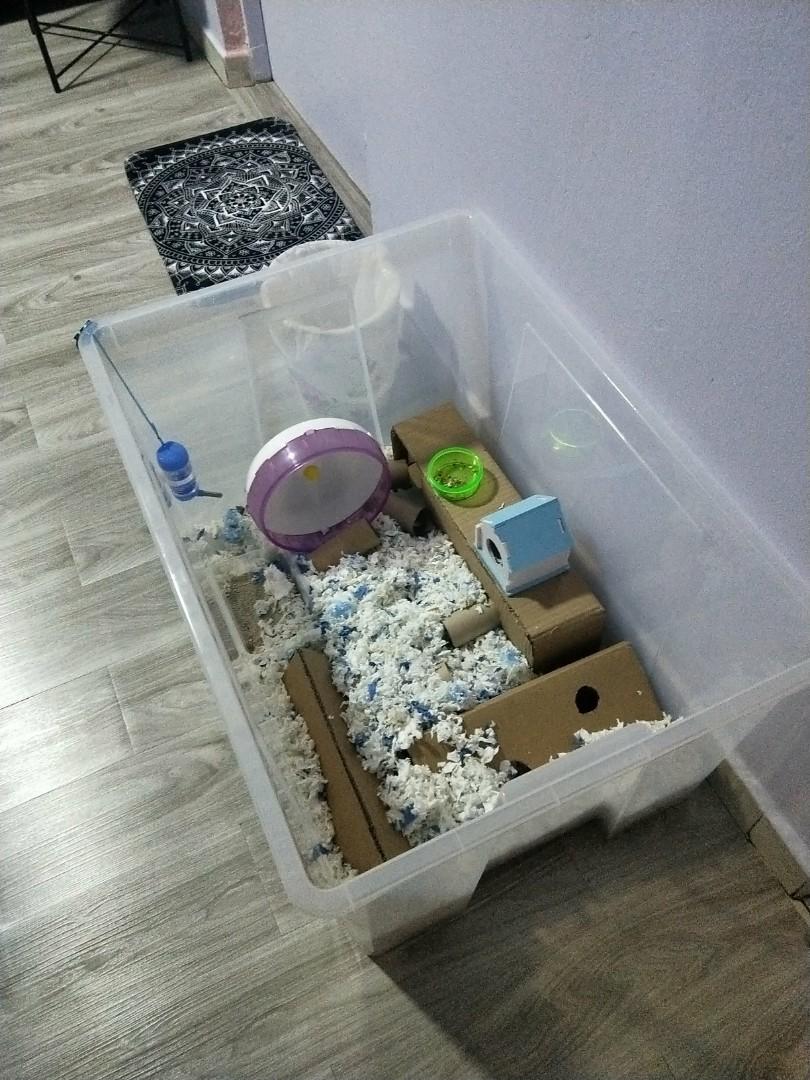 IKEA Samla Bin, Pet Supplies, For Small Animals, Pet Accessories on ...