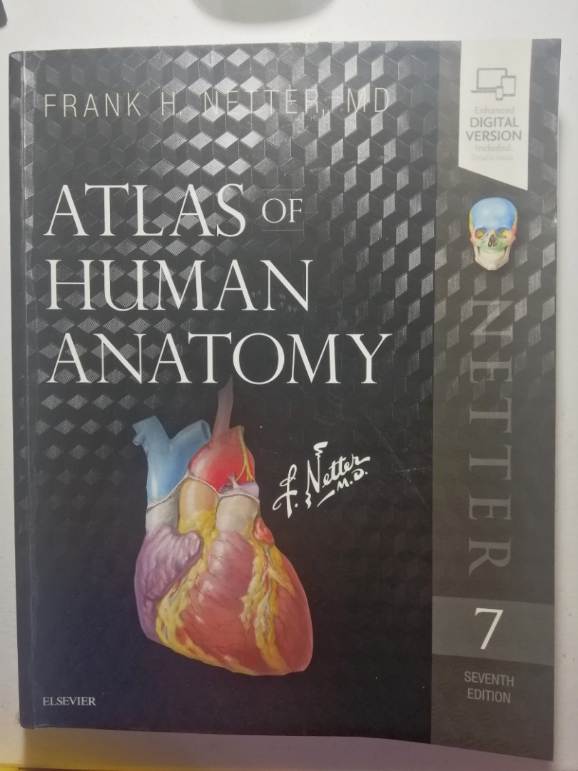 Atlas of Human Anatomy 7th Ed by Frank Netter, Hobbies & Toys, Books ...