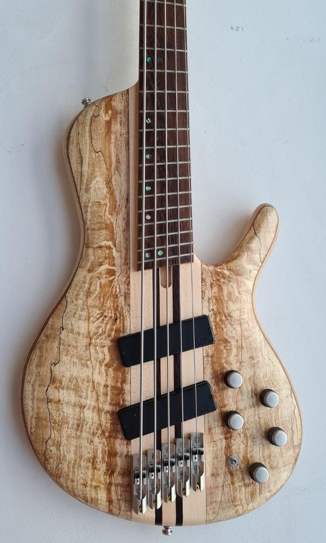 Cort A5 Plus SCMS 5 strings bass, Hobbies & Toys, Music & Media ...