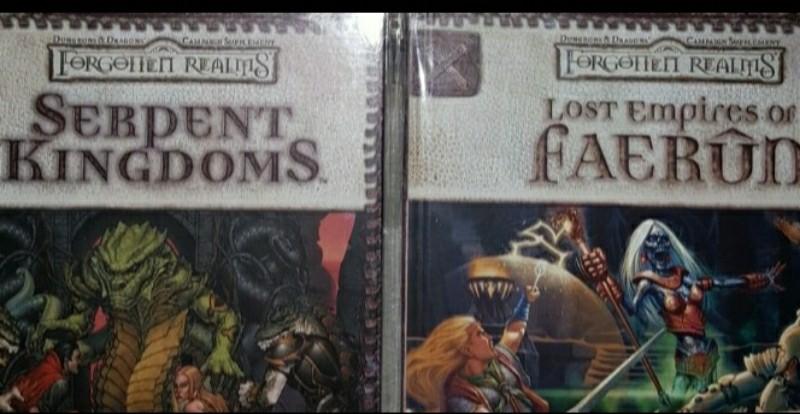 Forgotten relms- Shining South, Champions of ruin /Magic of faerun ...
