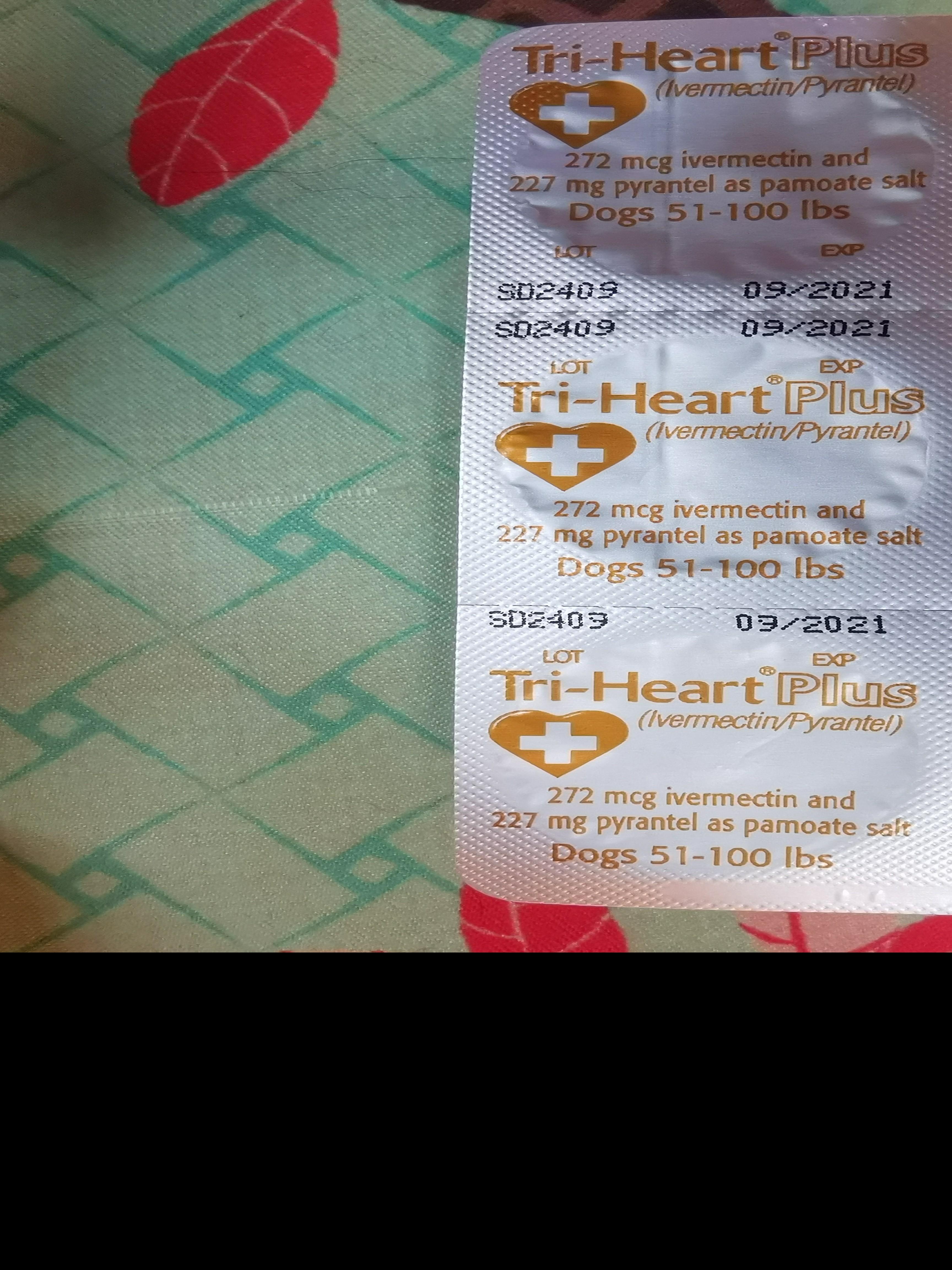 Tri-Heart Plus 防心絲蟲 狗用 for DOGS 51-100lbs 共3粒, 寵物用品, 寵物衣服 - Carousell