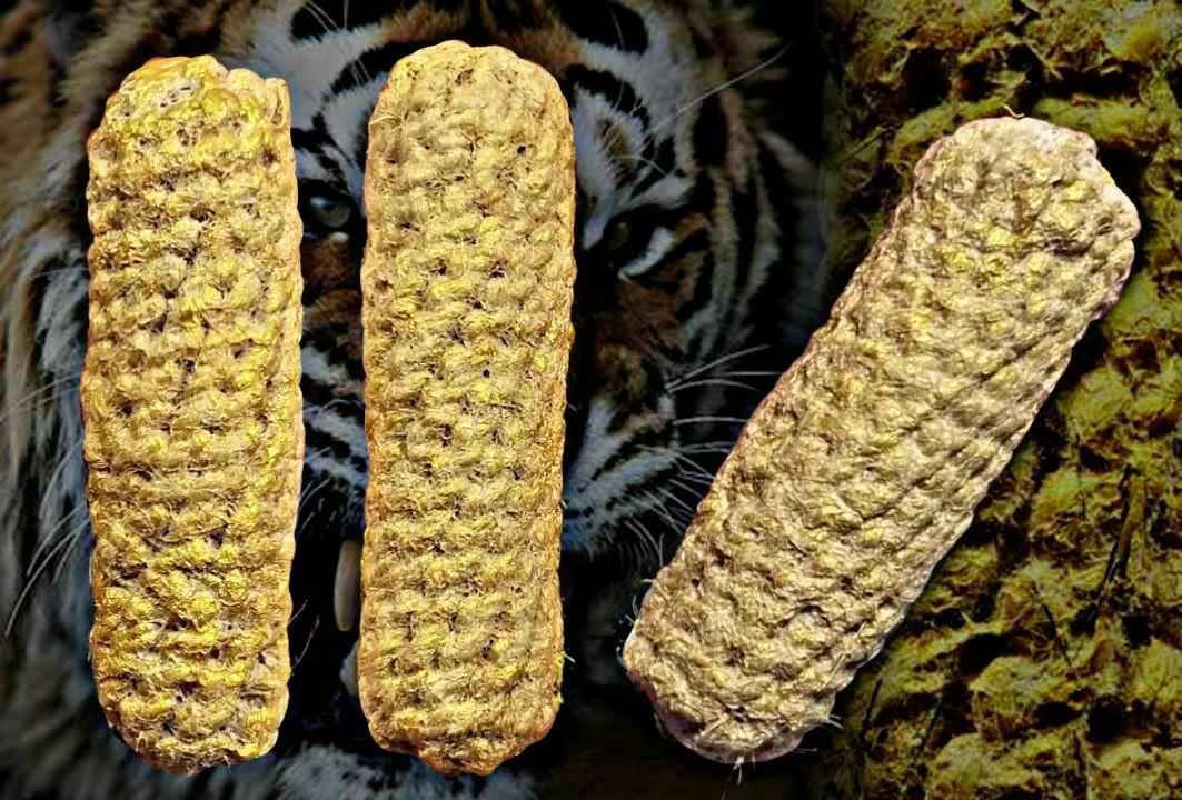 LP Yeam Wat SamNgam Takrut Nar Pak Suer, Hobbies & Toys, Memorabilia ...