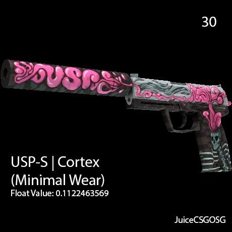 USP-S | Cortex MW (Minimal Wear), Video Gaming, Gaming Accessories ...
