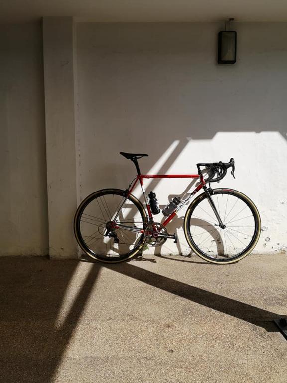 Colnago Master X light Saronni PR 82 30th anniversary Frameset for ...