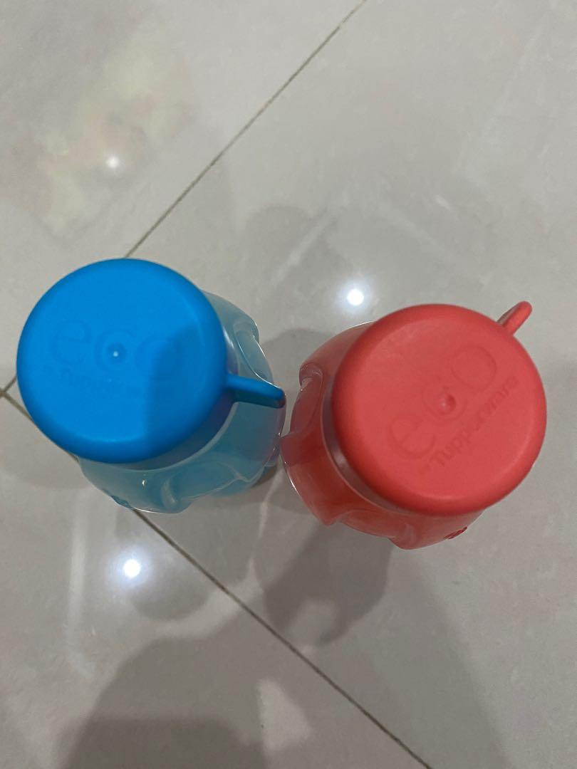 Botol Minum Tupperware, Kitchen & Appliances di Carousell