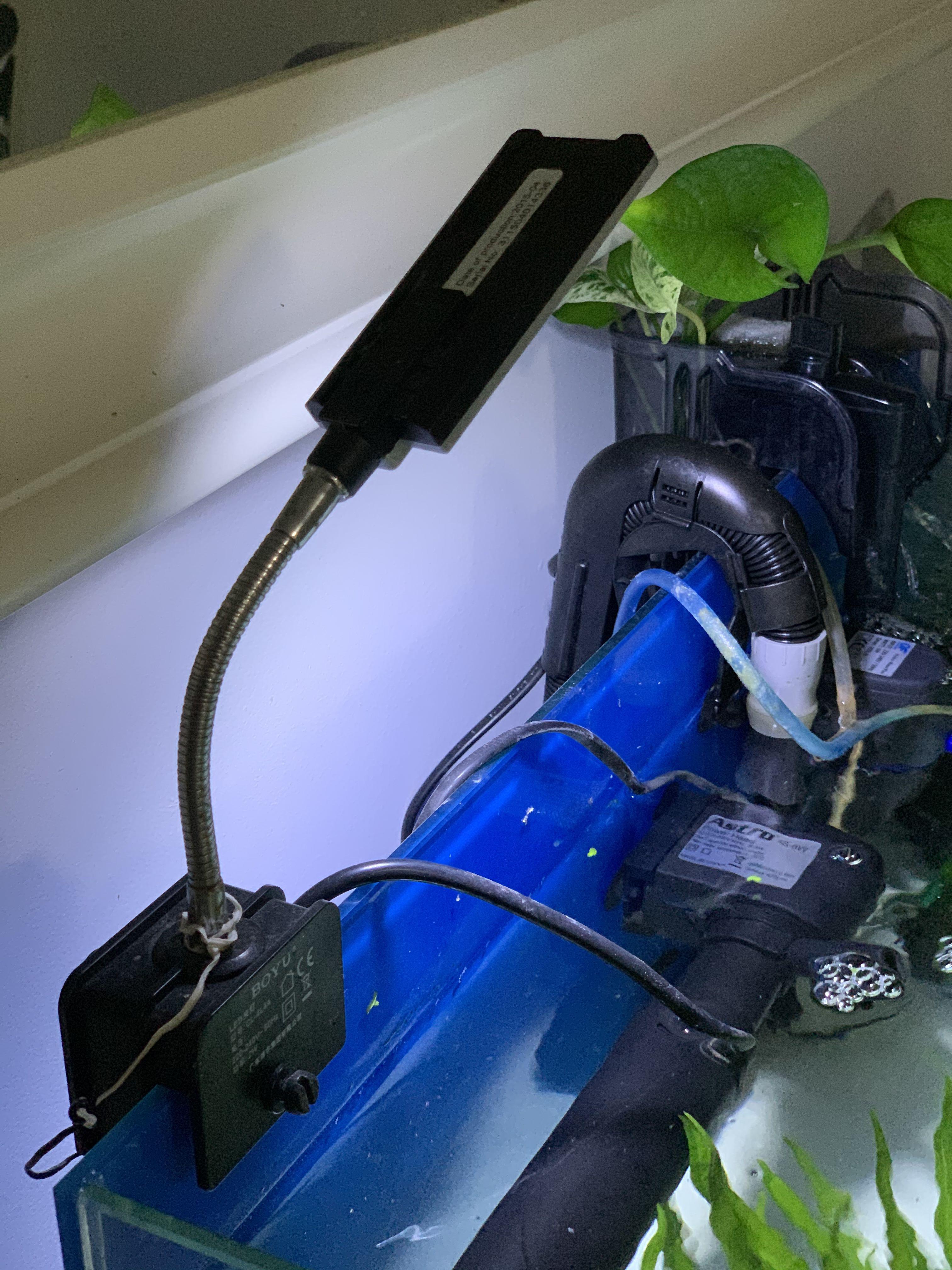 Boyu Goose Neck Led Light, Pet Supplies, Homes & Other Pet Accessories ...