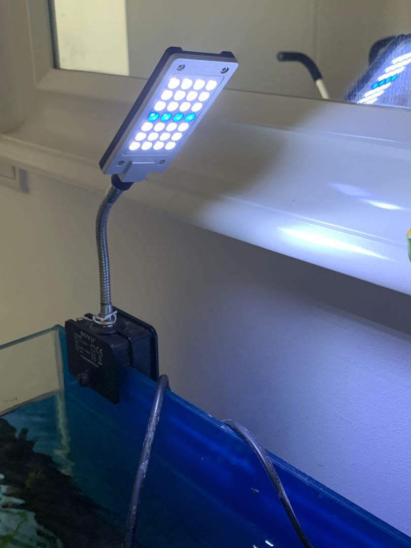 Boyu Goose Neck Led Light, Pet Supplies, Homes & Other Pet Accessories ...